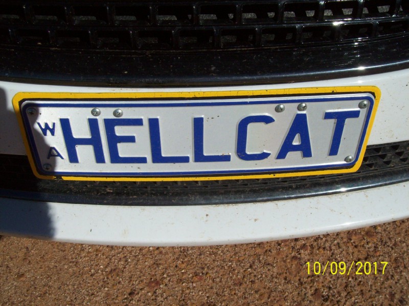HELLCAT Number Plates For Sale, WA - MrPlates