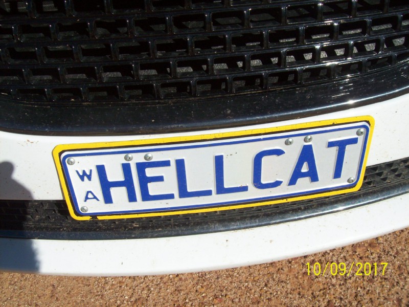 HELLCAT Number Plates For Sale, WA - MrPlates