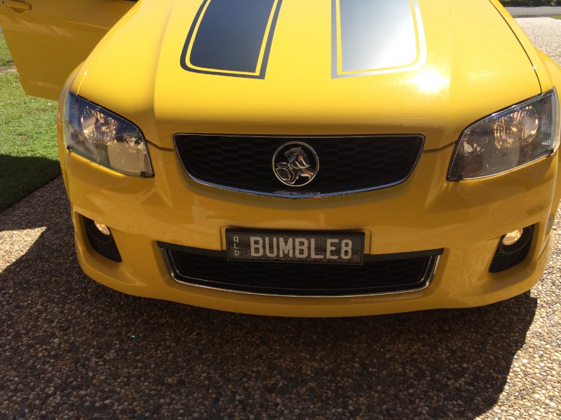 BUMBLE8 (Bumble Bee) Number Plates For Sale, QLD - MrPlates