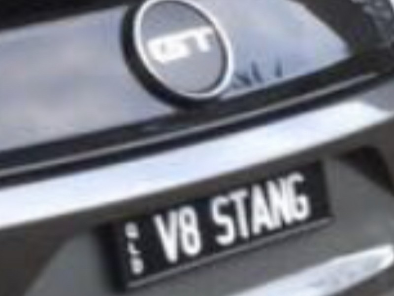 V8 STANG (V8 MUSTANG) Number Plates For Sale, QLD - MrPlates