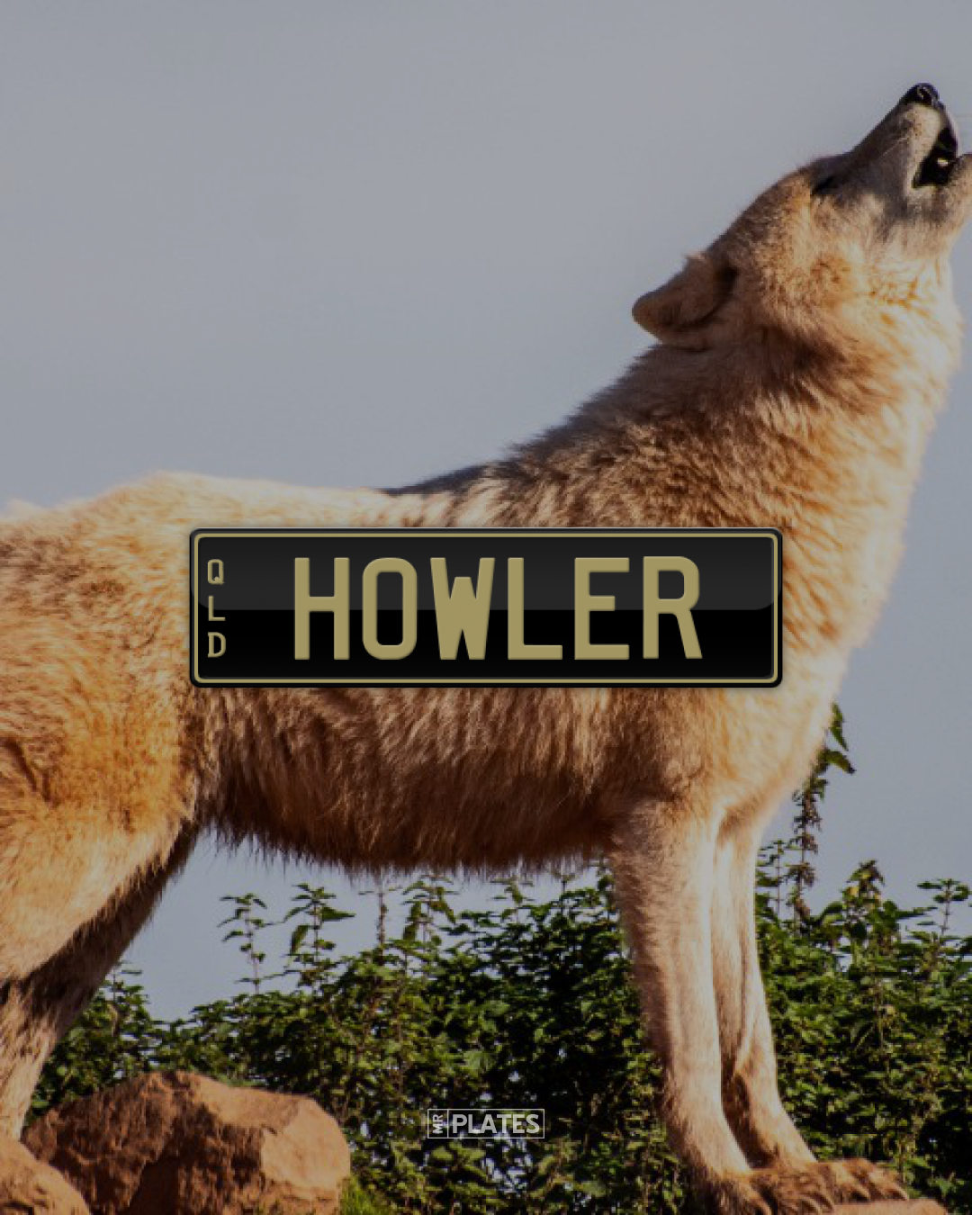 HOWLER Number Plates For Sale, QLD - MrPlates