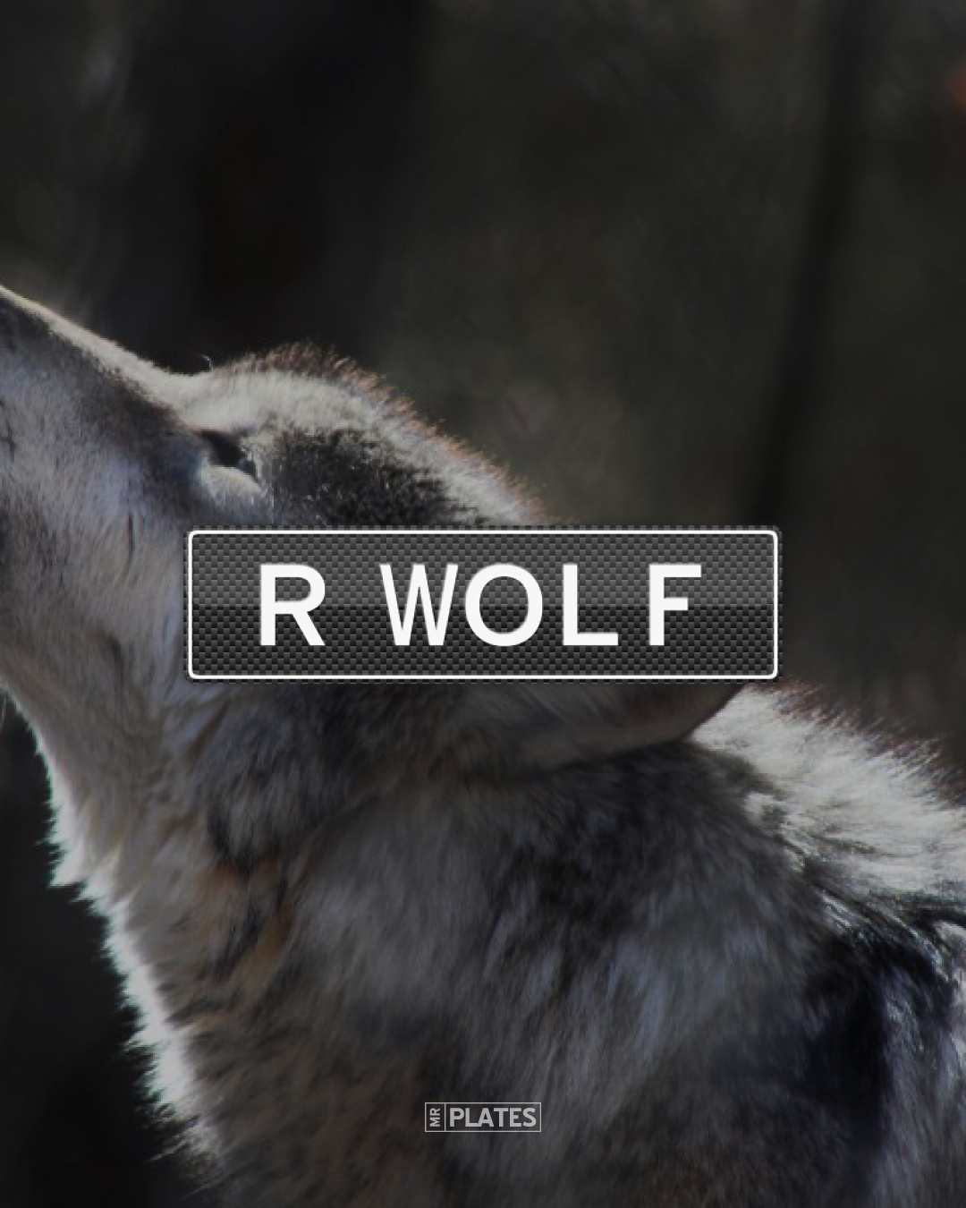 R WOLF Number Plates For Sale, NSW - MrPlates