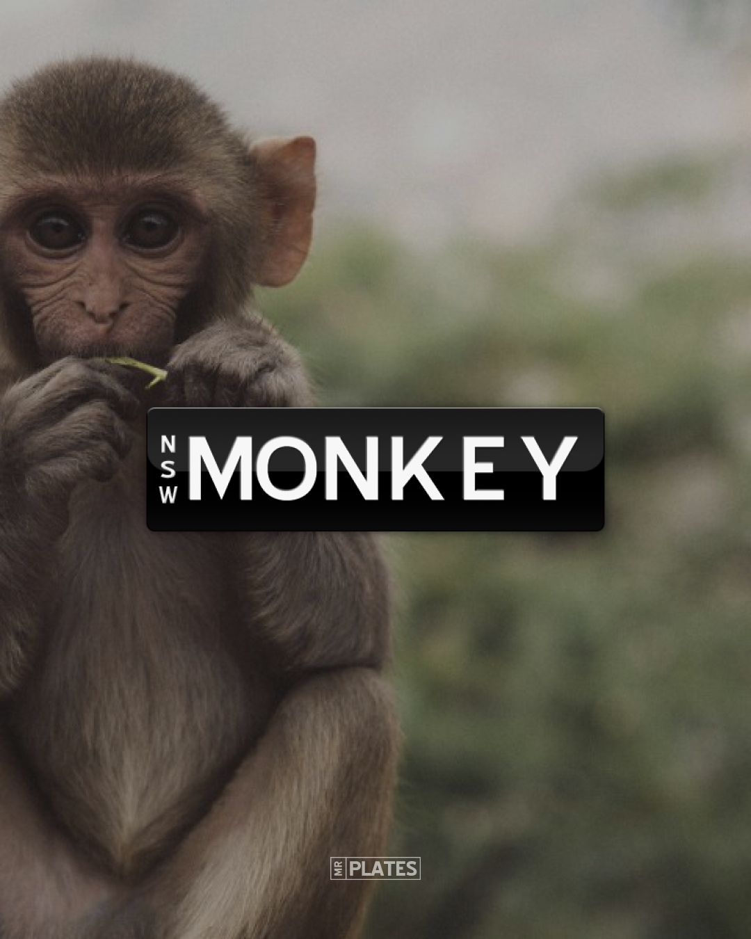 MONKEY Number Plates For Sale, NSW - MrPlates