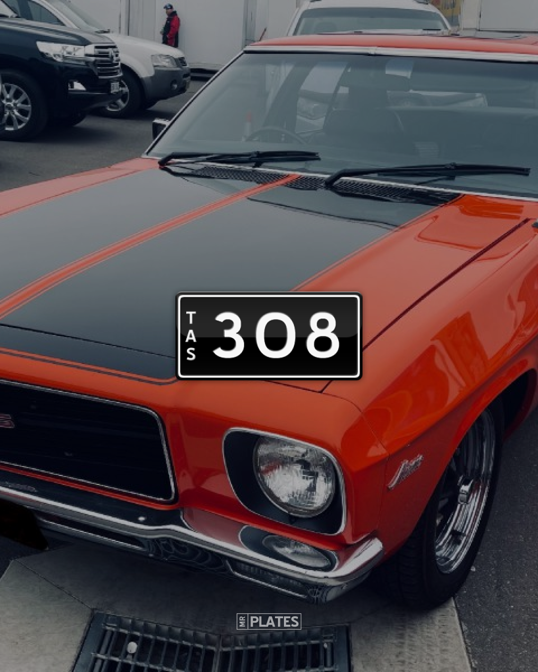 308 Number Plates For Sale, TAS - MrPlates