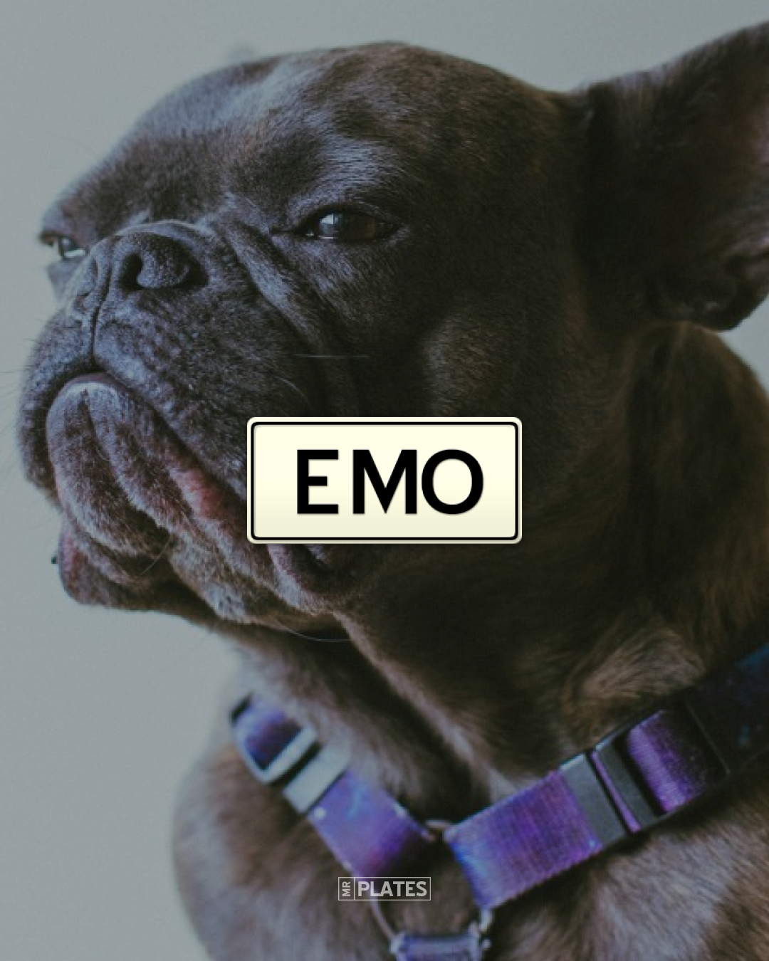 EMO Number Plates For Sale, VIC - MrPlates