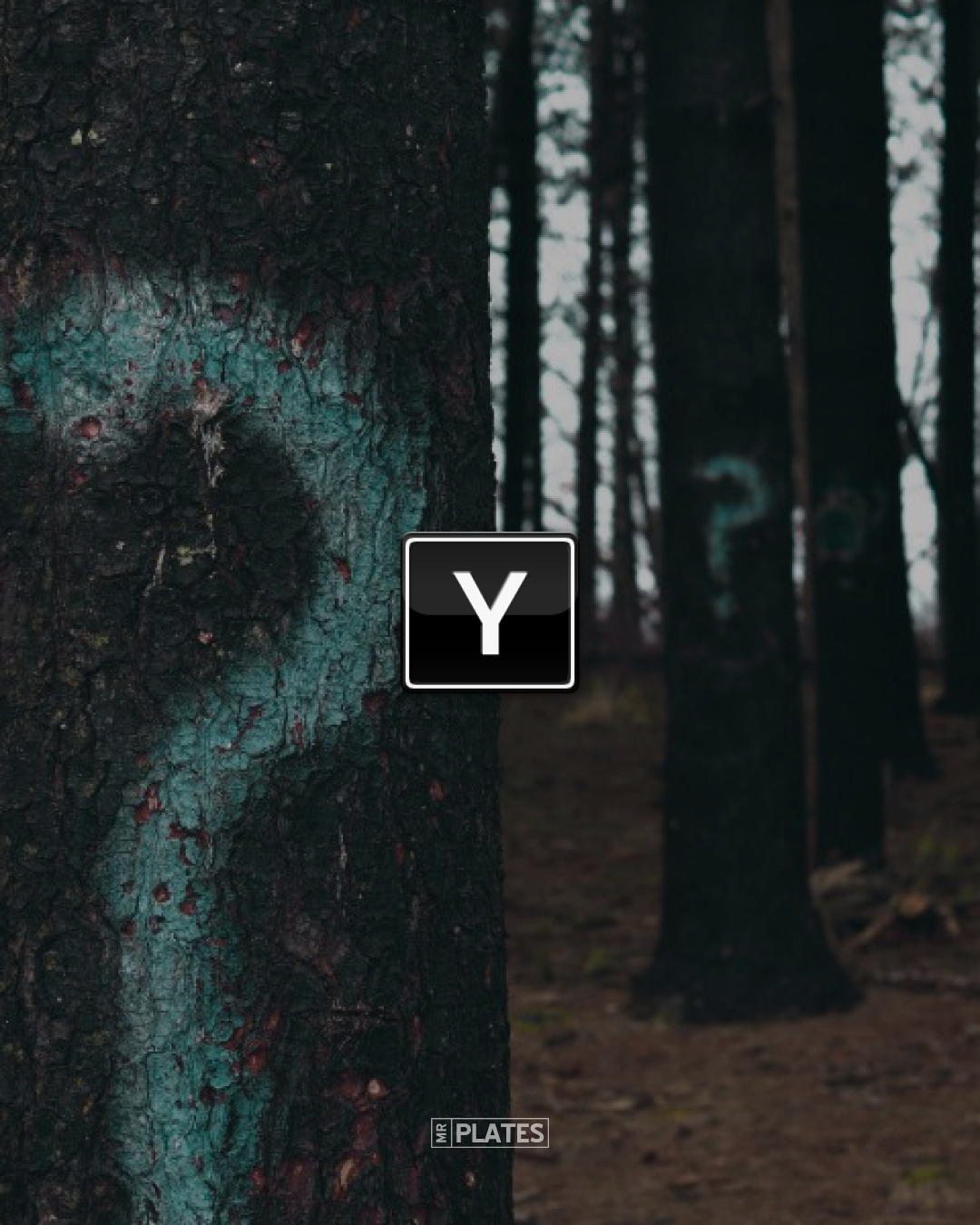 Y (Why (?)) Number Plates For Sale, WA - MrPlates