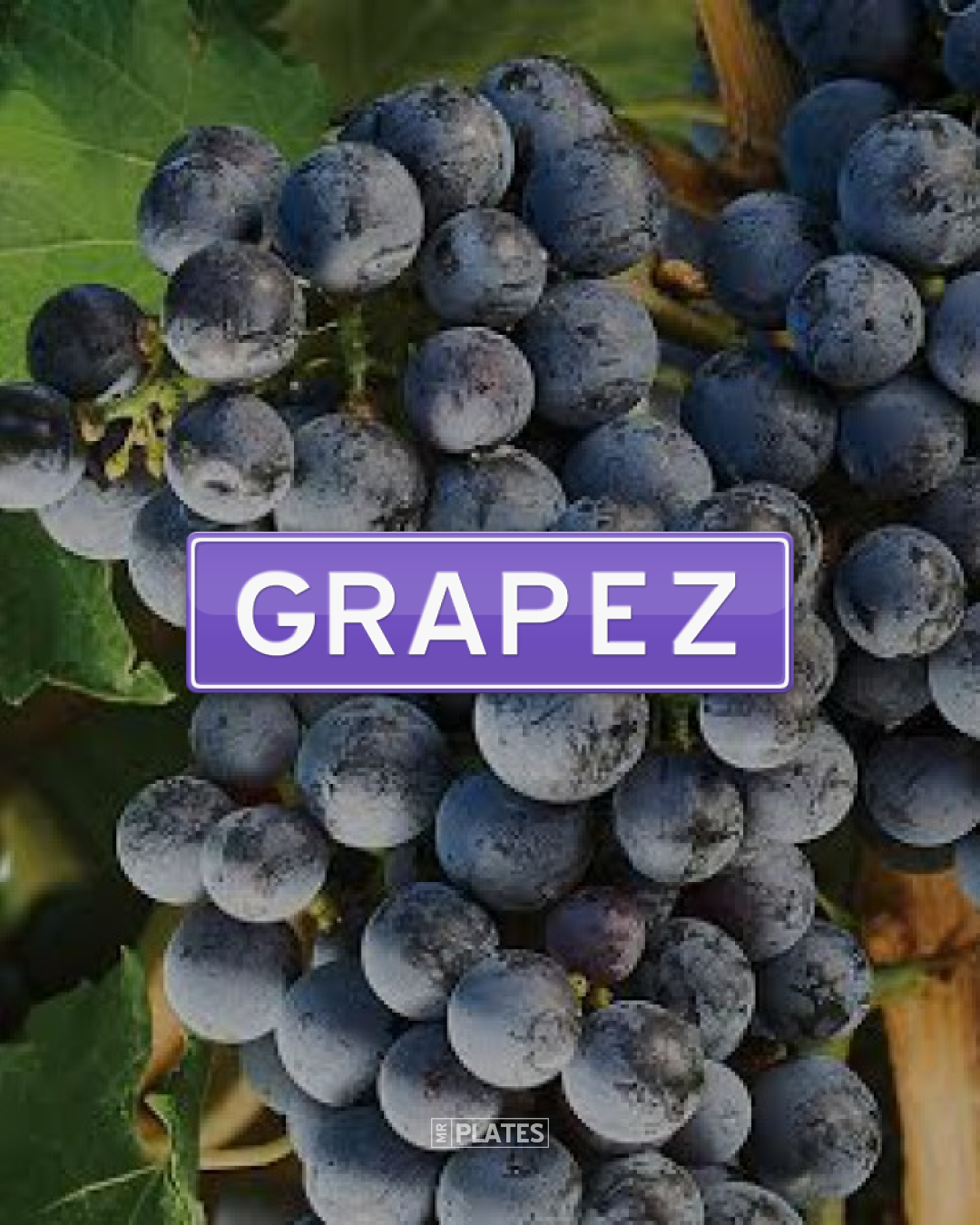 GRAPEZ (Grapes) Number Plates For Sale, NSW - MrPlates