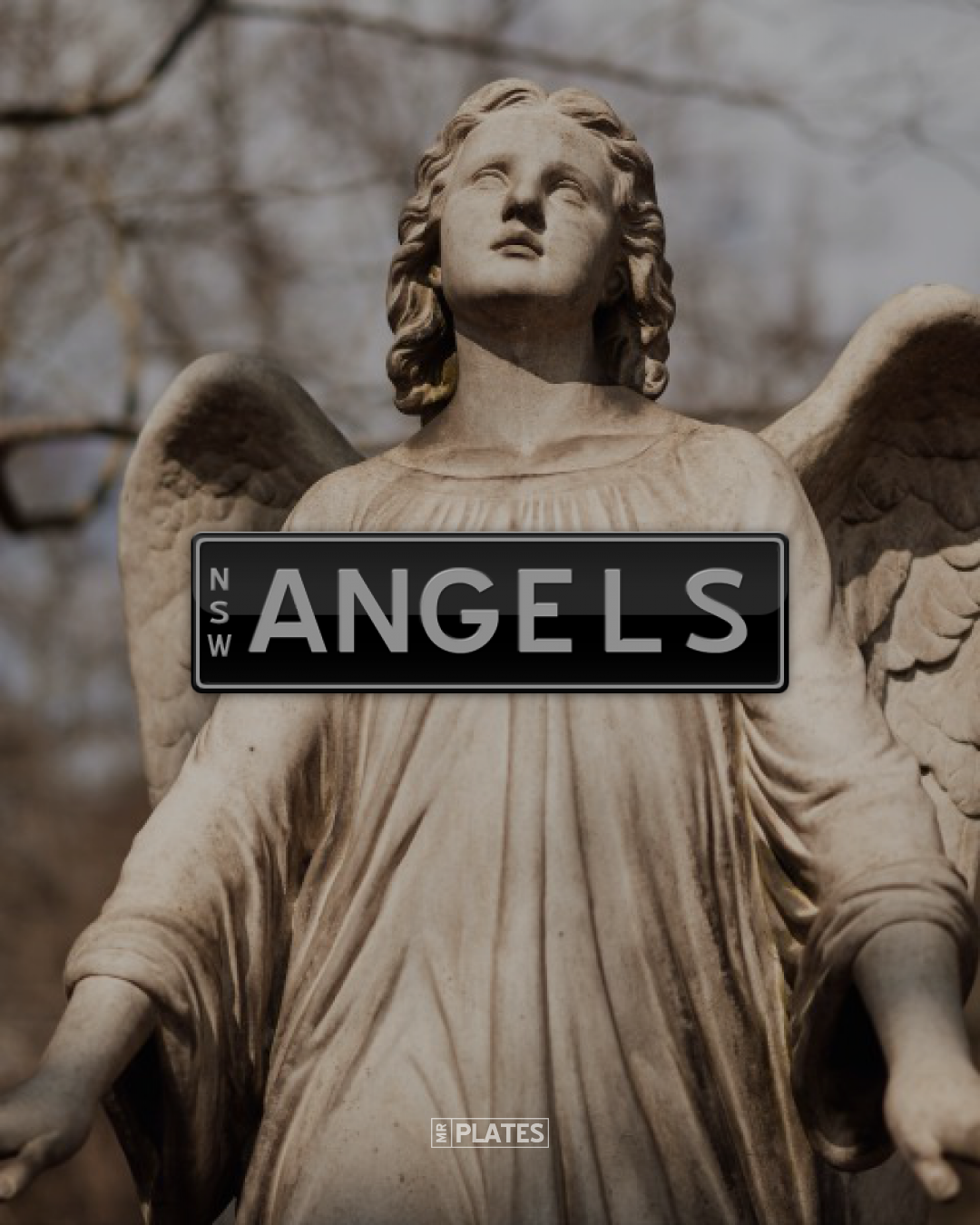 ANGELS Number Plates For Sale, NSW - MrPlates