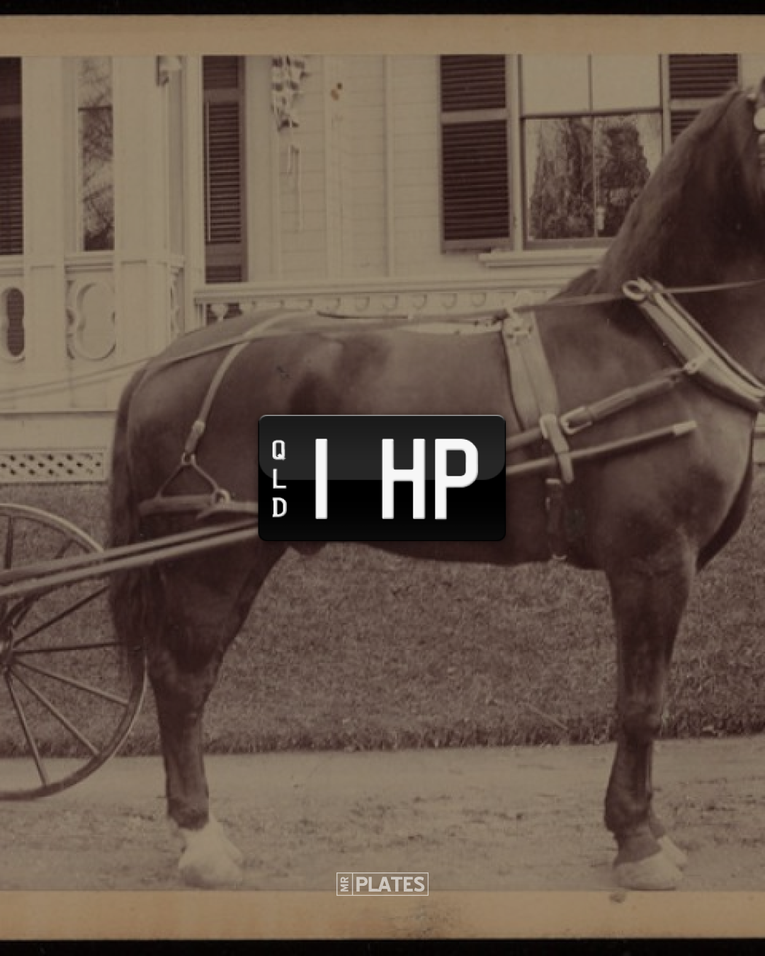 1 HP (1 Horse Power/ 1 Health Point) Number Plates For Sale, QLD - MrPlates