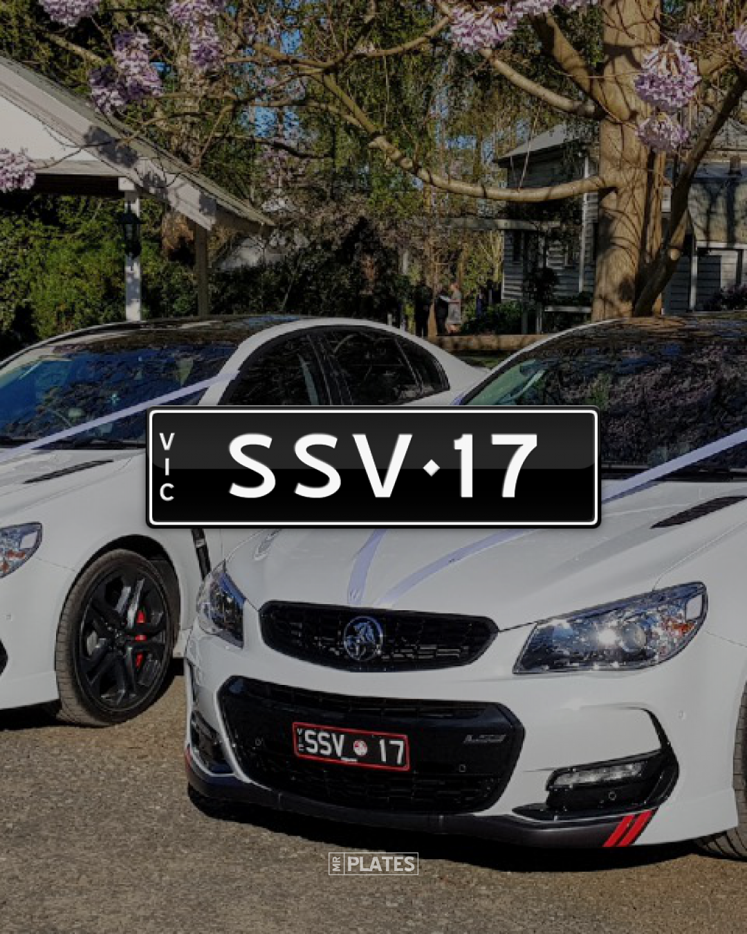 SSV·17 (Model Is SSV Year Of Manufacture 2017) Number Plates For Sale ...