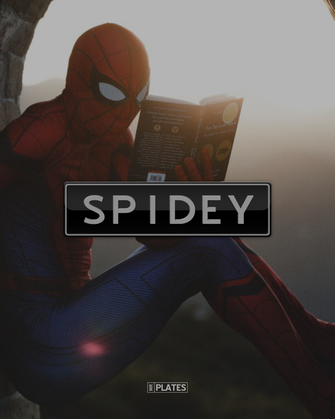 SPIDEY Number Plates For Sale, SA - MrPlates