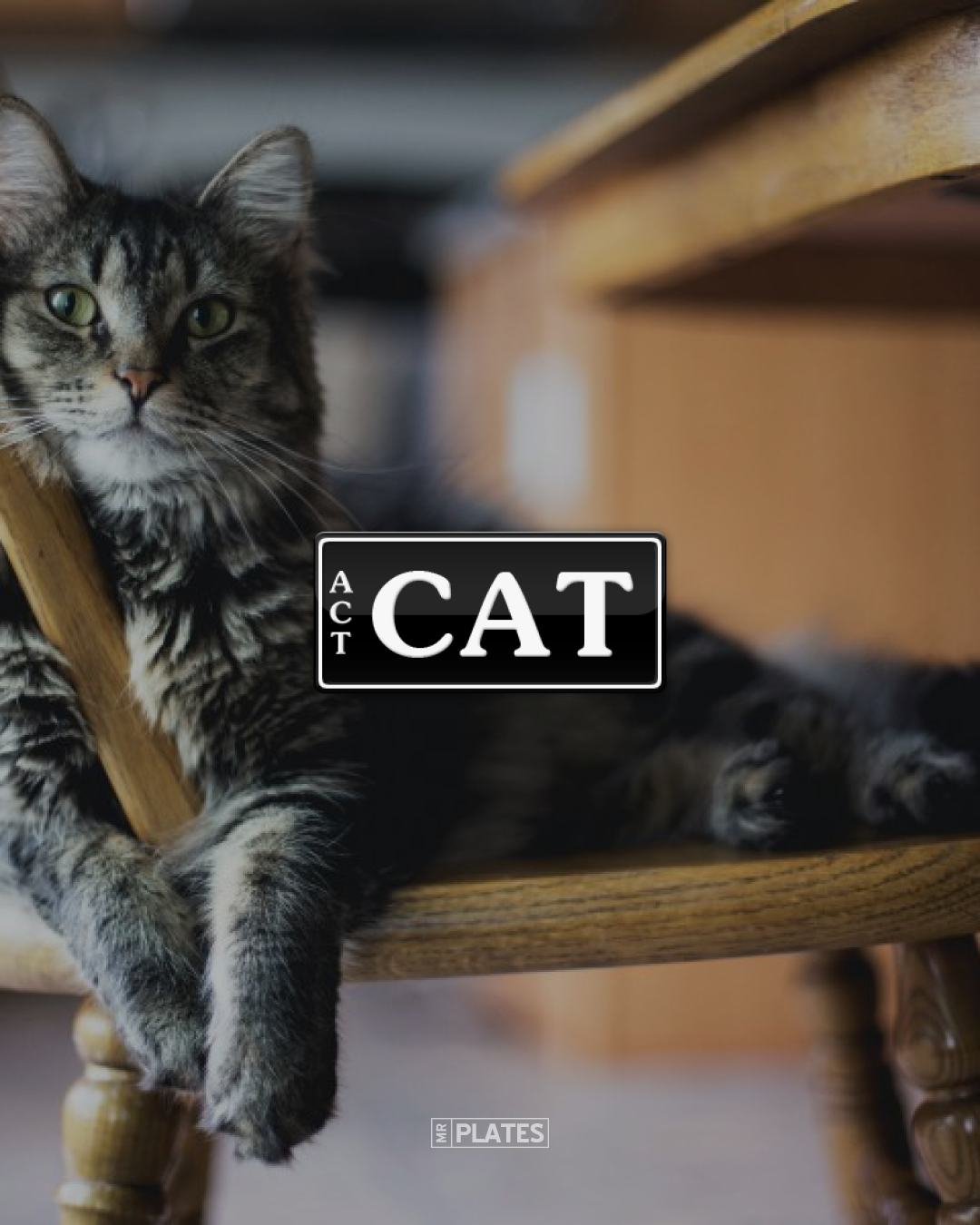 CAT (Jaguar, Hellcat, Caterpillar Machine) Number Plates For Sale, ACT ...