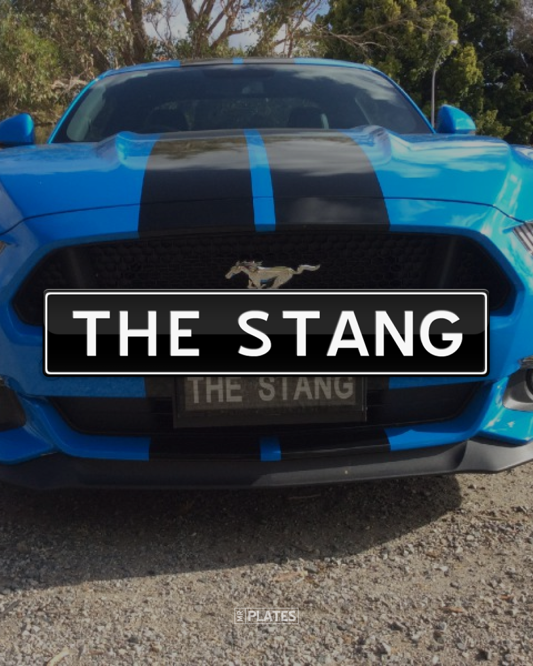 THE STANG (Mustang) Number Plates For Sale, WA - MrPlates