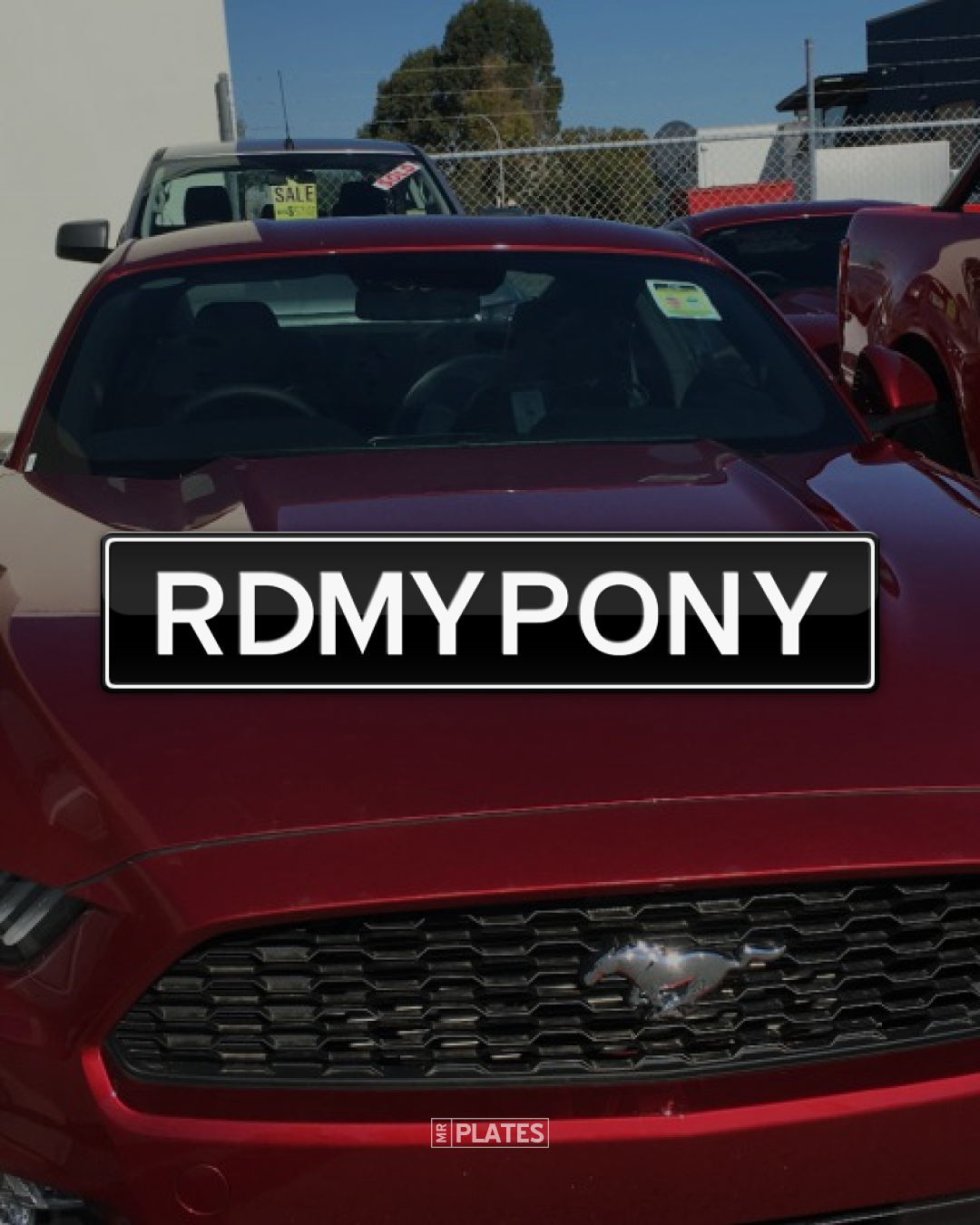 RDMYPONY (Ride My Pony) Number Plates For Sale, WA - MrPlates