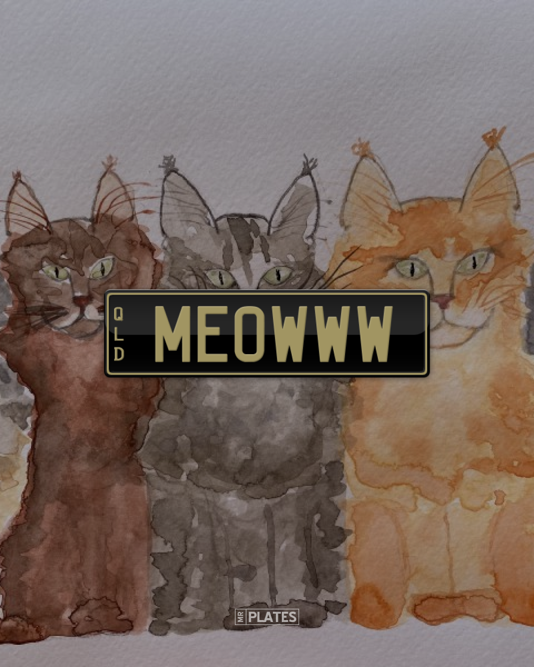 MEOWWW (MEOW) Number Plates For Sale, QLD - MrPlates