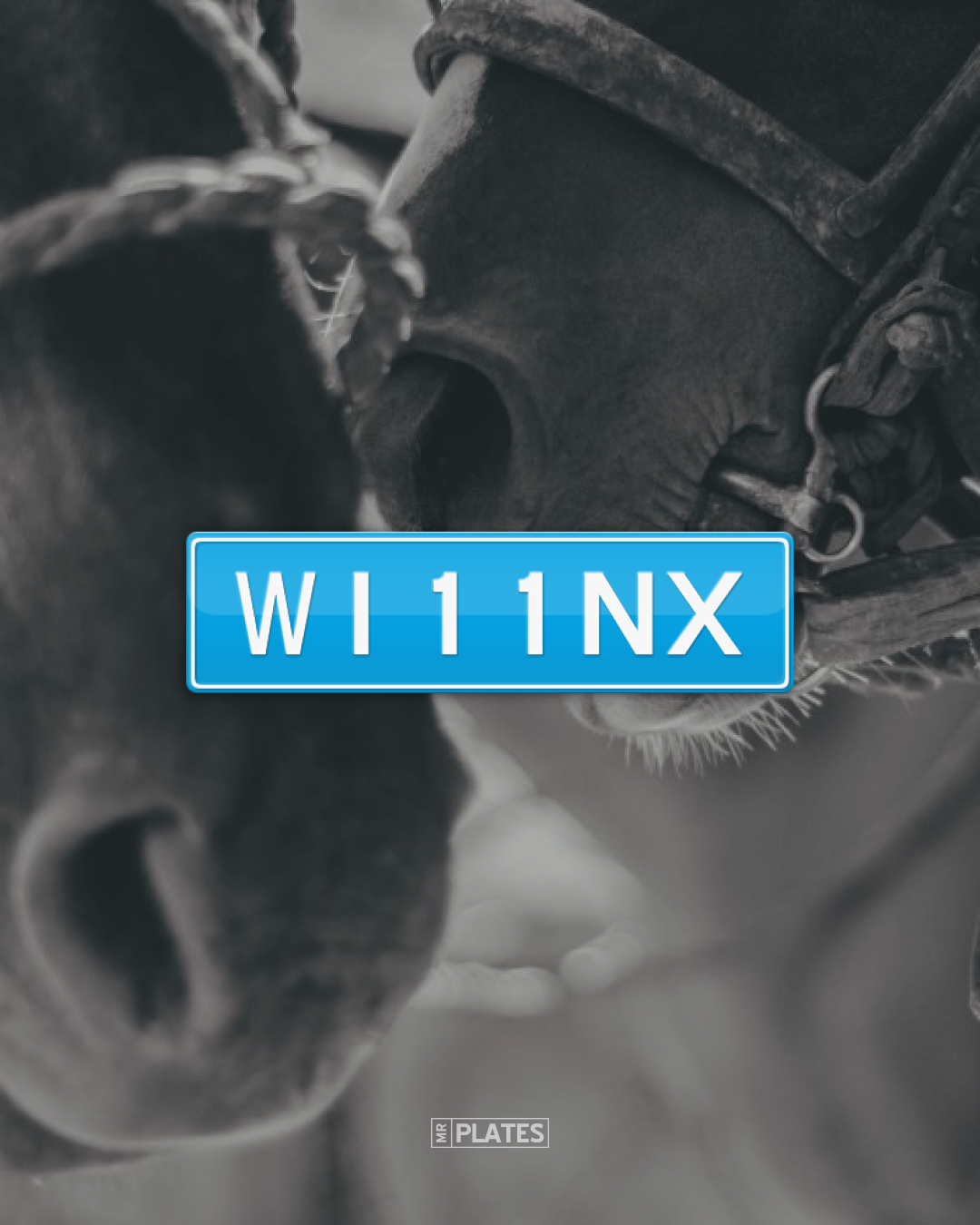 WI11NX (WINX RACE HORSE) Number Plates For Sale, NSW - MrPlates