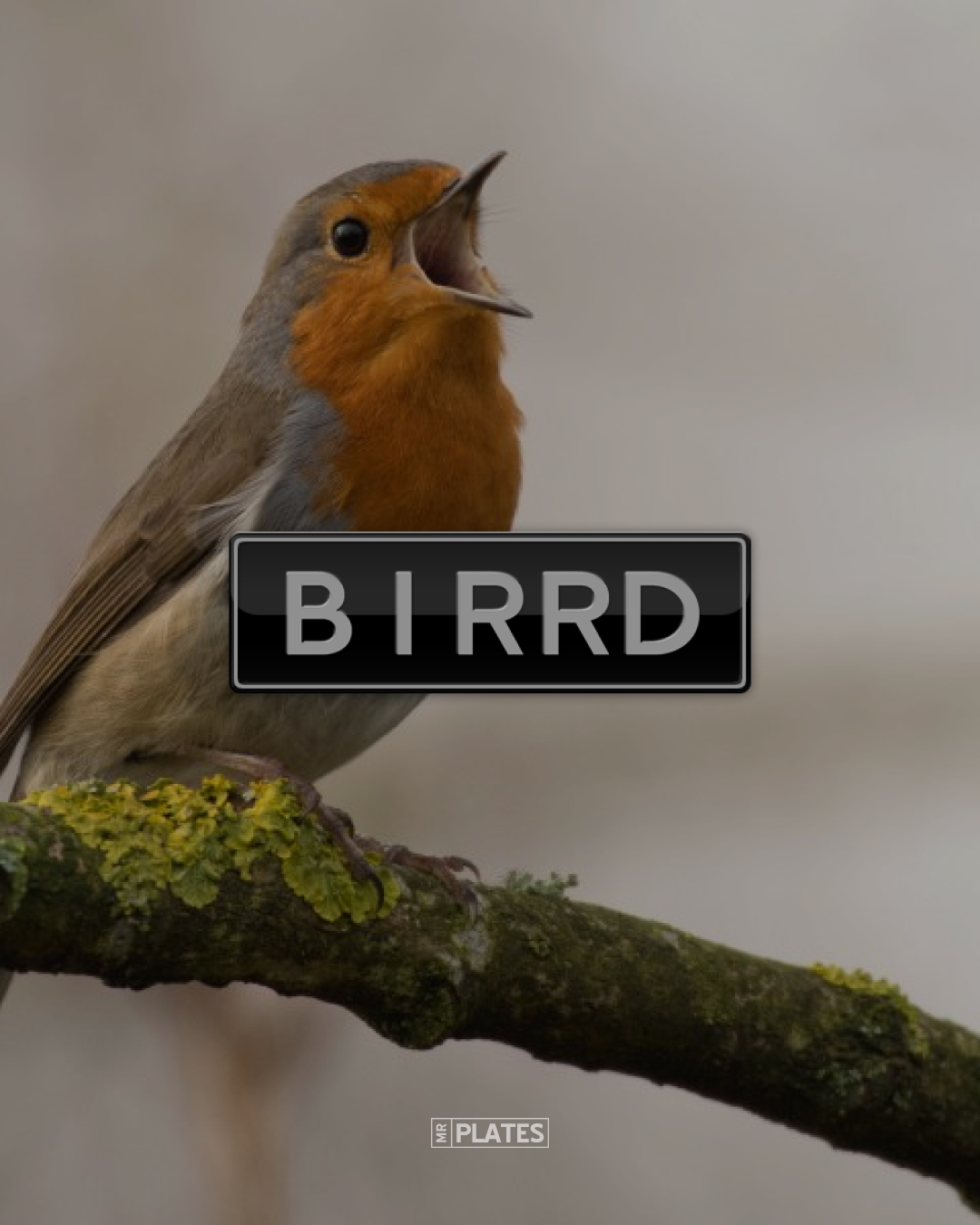 BIRRD (Bird) Number Plates For Sale, VIC - MrPlates