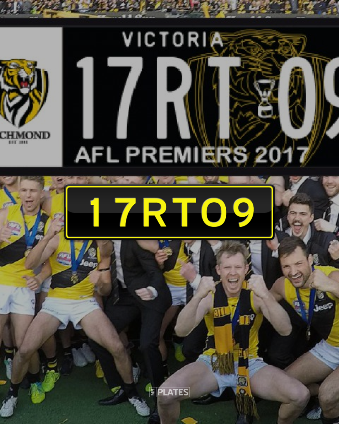 17RT09 (2017 AFL PREMIERS) Number Plates For Sale, VIC - MrPlates