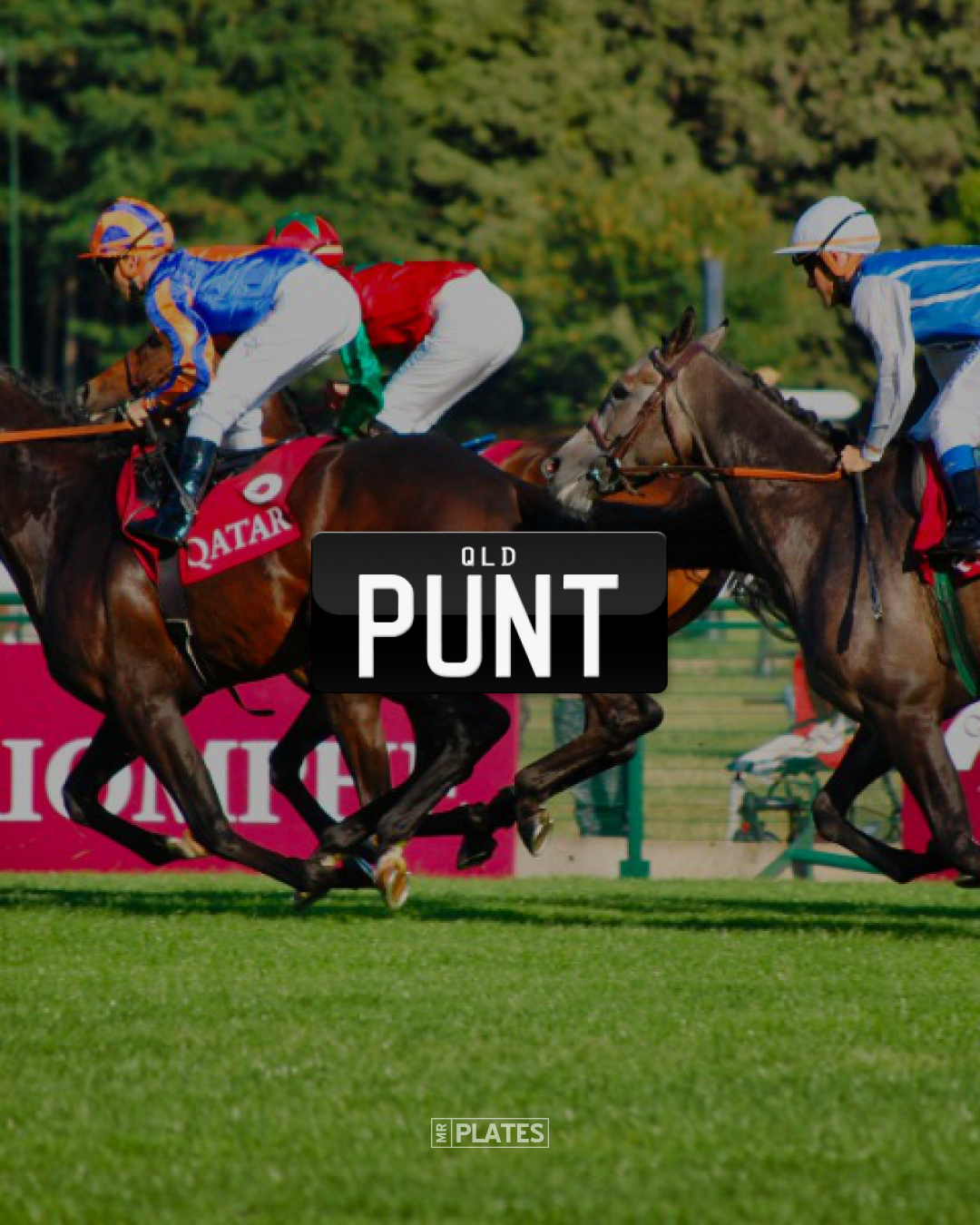 PUNT Number Plates For Sale, QLD - MrPlates